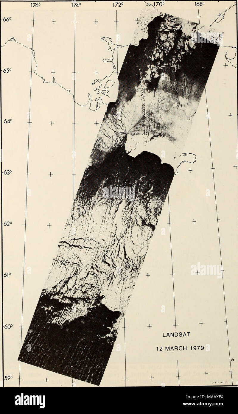 . The Eastern Bering Sea Shelf : oceanography and resources / edited by ...