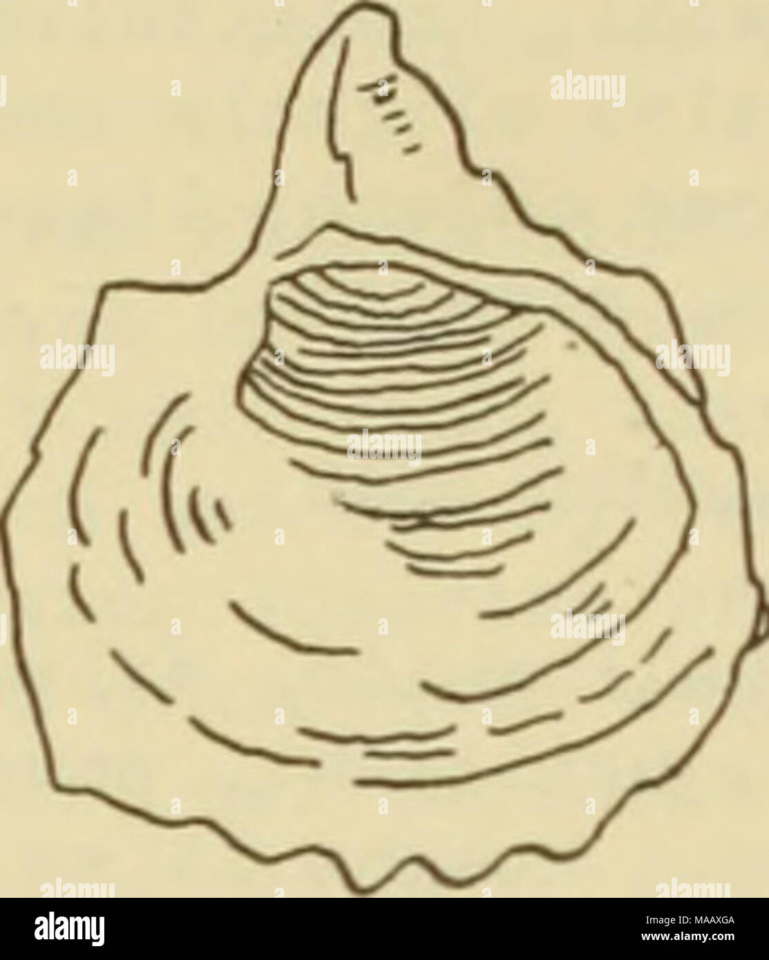 Four sided valve hi-res stock photography and images - Alamy