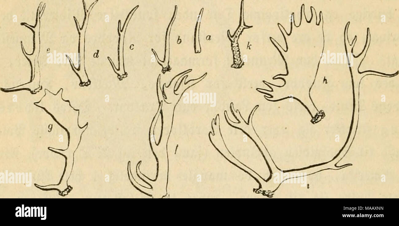 Meb font hi-res stock photography and images - Alamy