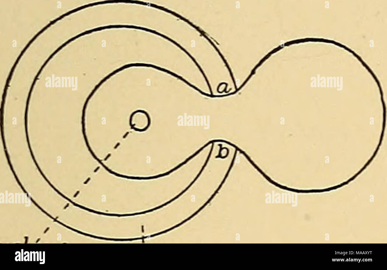 Membrane dynamics hi-res stock photography and images - Alamy