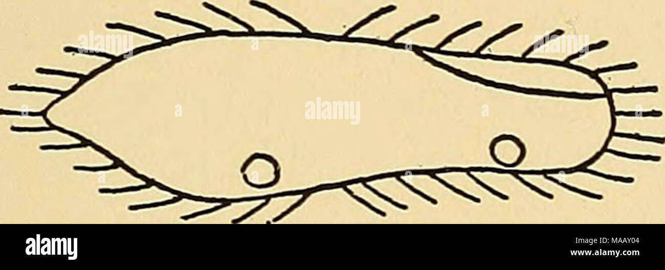 . The dynamics of living matter Stock Photo - Alamy