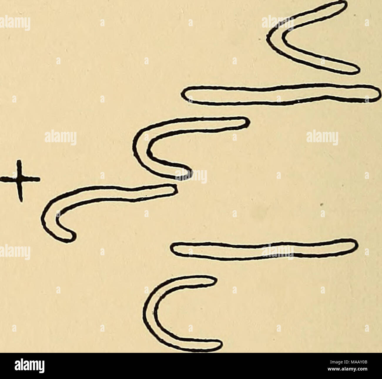 . The dynamics of living matter Stock Photo - Alamy