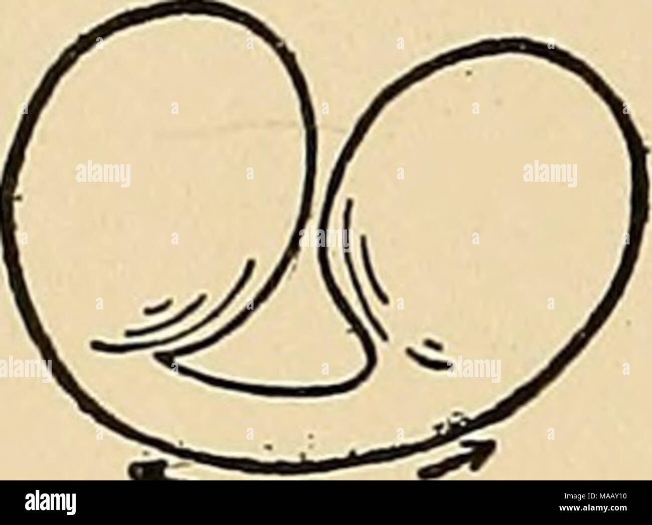 . The dynamics of living matter Stock Photo - Alamy