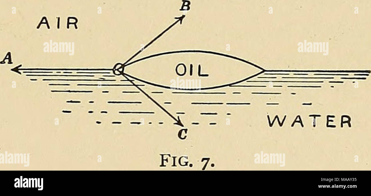 . The dynamics of living matter Stock Photo - Alamy