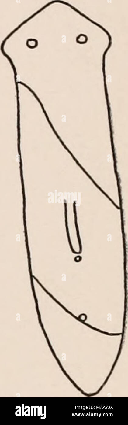 Pulled Figs High Resolution Stock Photography and Images - Alamy