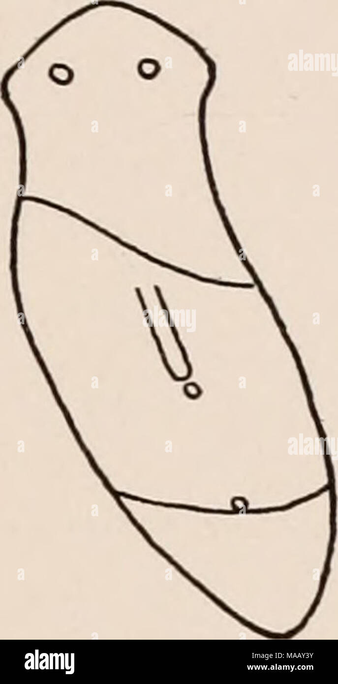 . The dynamics of living matter Stock Photo - Alamy