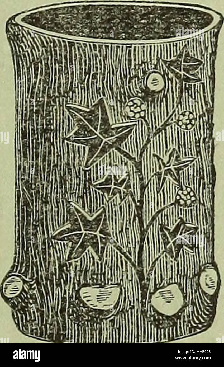 . Dutch bulbs & flower roots : small fruits and sundries, plants for ...