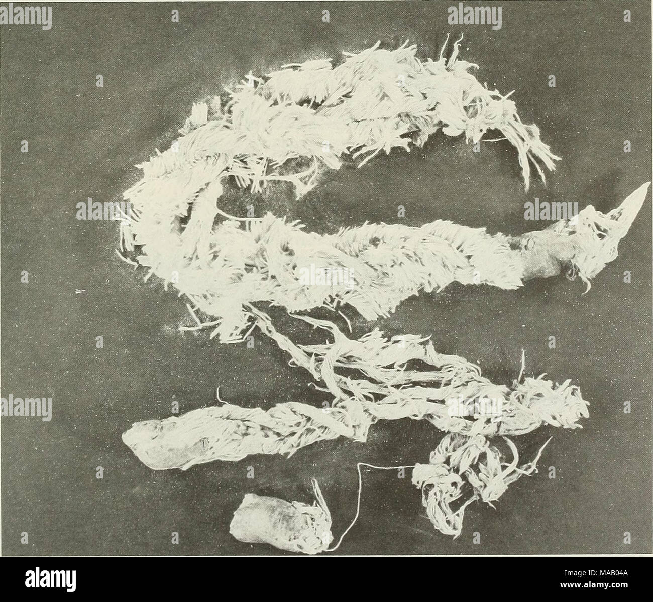 . Durability of plastics in anaerobic marine sediments . Figure 7 ...
