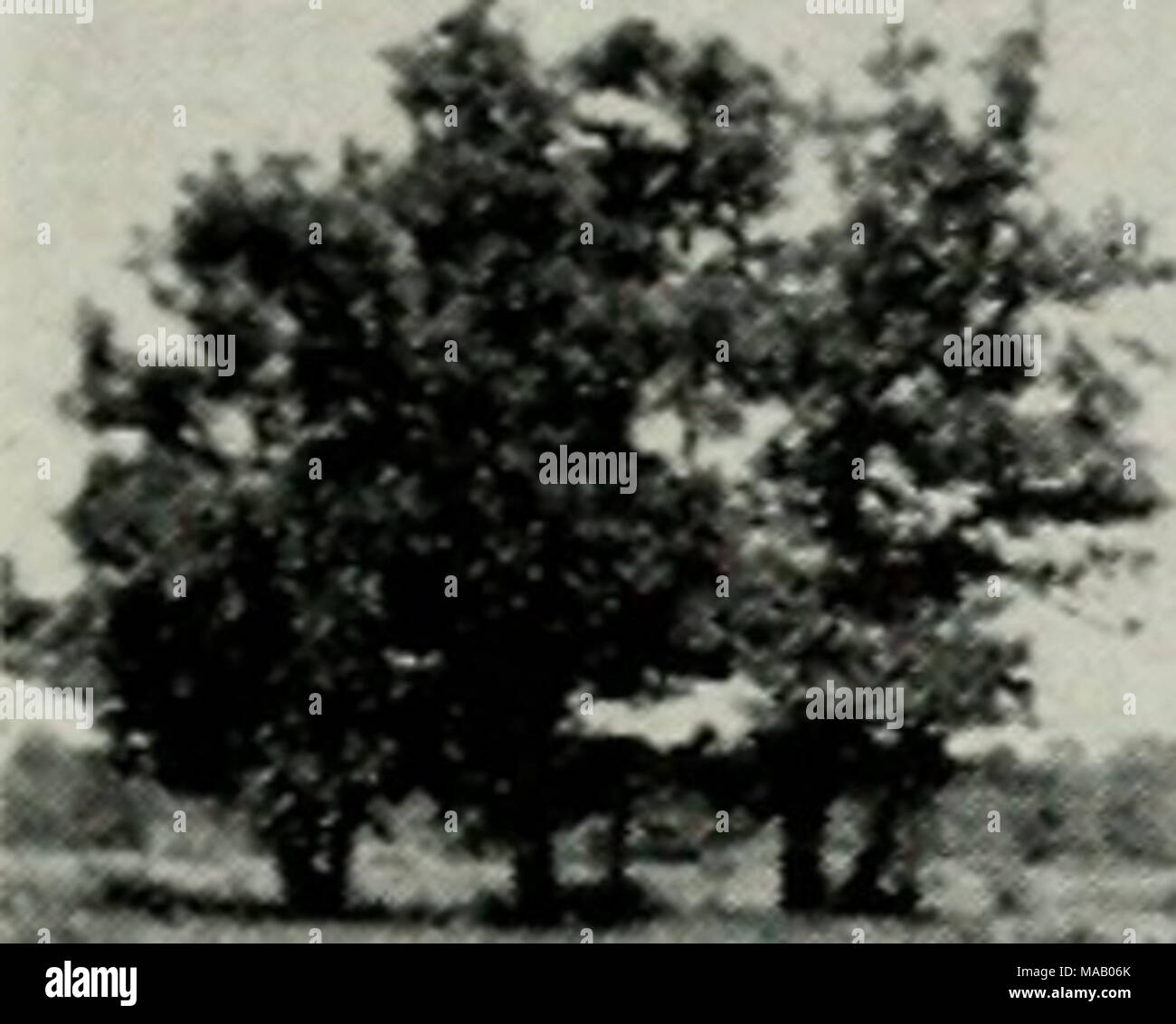 . The Dunesland heritage of Illinois . *wv,Aife.^ ^ f-** € '•^ Stock ...