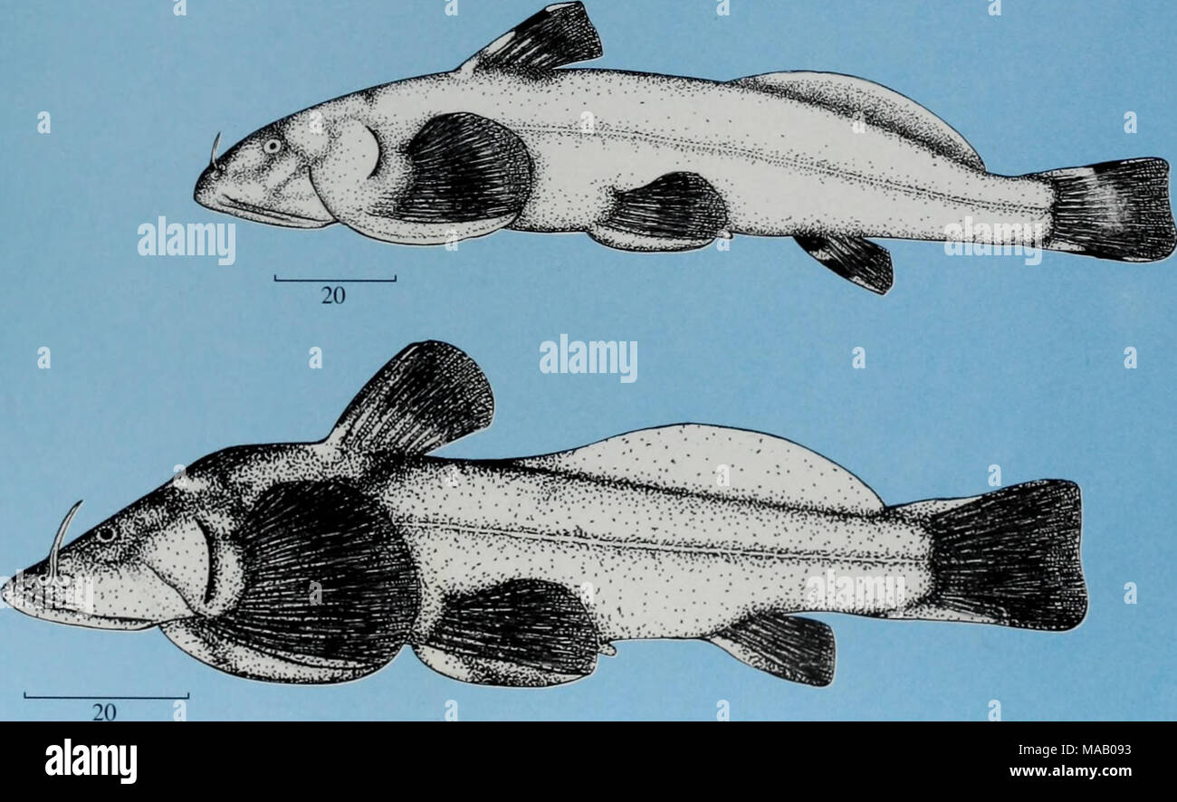 . du jiang yan sheng wu duo yang xing yan jiu yu bao hu . 145 Stock ...