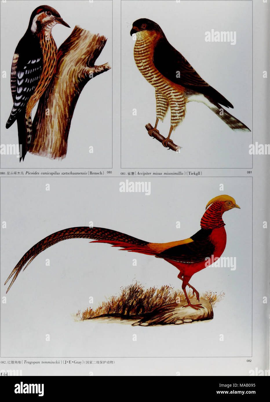 . du jiang yan sheng wu duo yang xing yan jiu yu bao hu . 0 Stock Photo ...