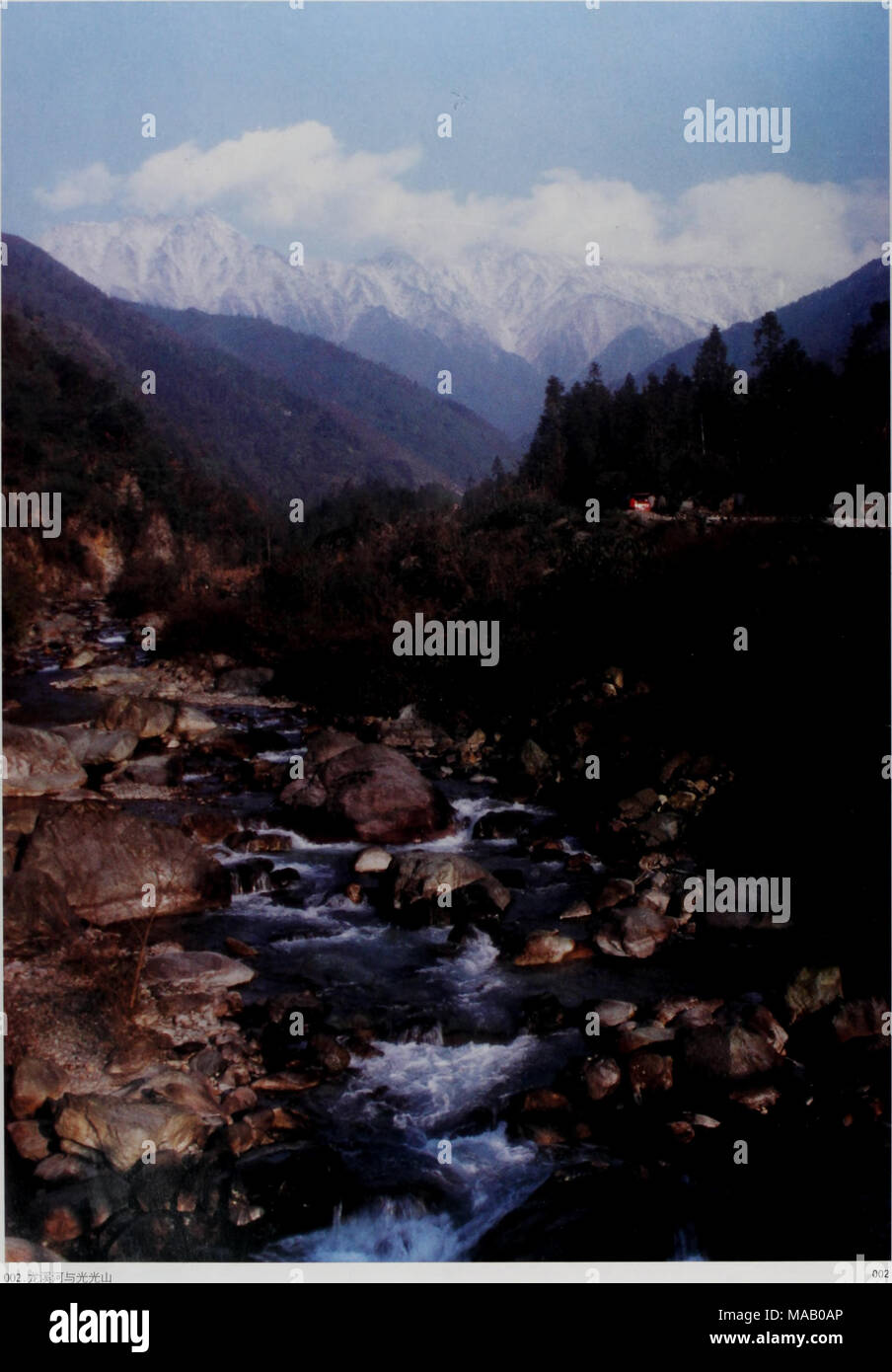 . du jiang yan sheng wu duo yang xing yan jiu yu bao hu . 114 Stock ...