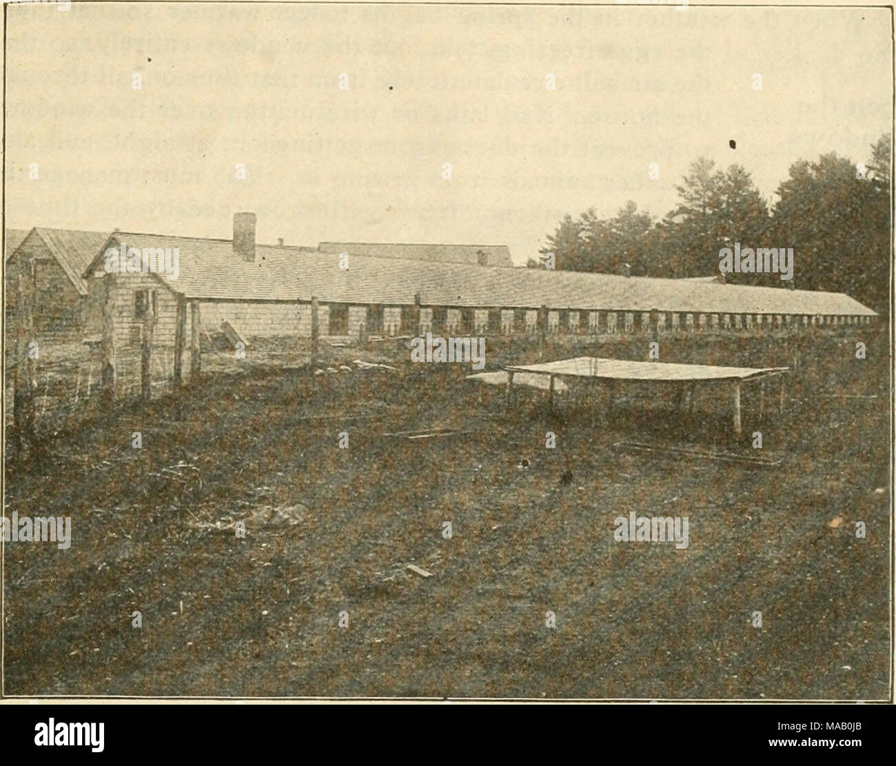 Brooder house hi-res stock photography and images - Alamy