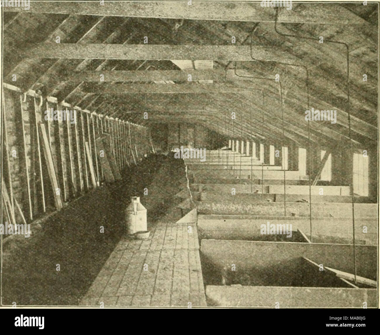 Brooder house hi-res stock photography and images - Alamy