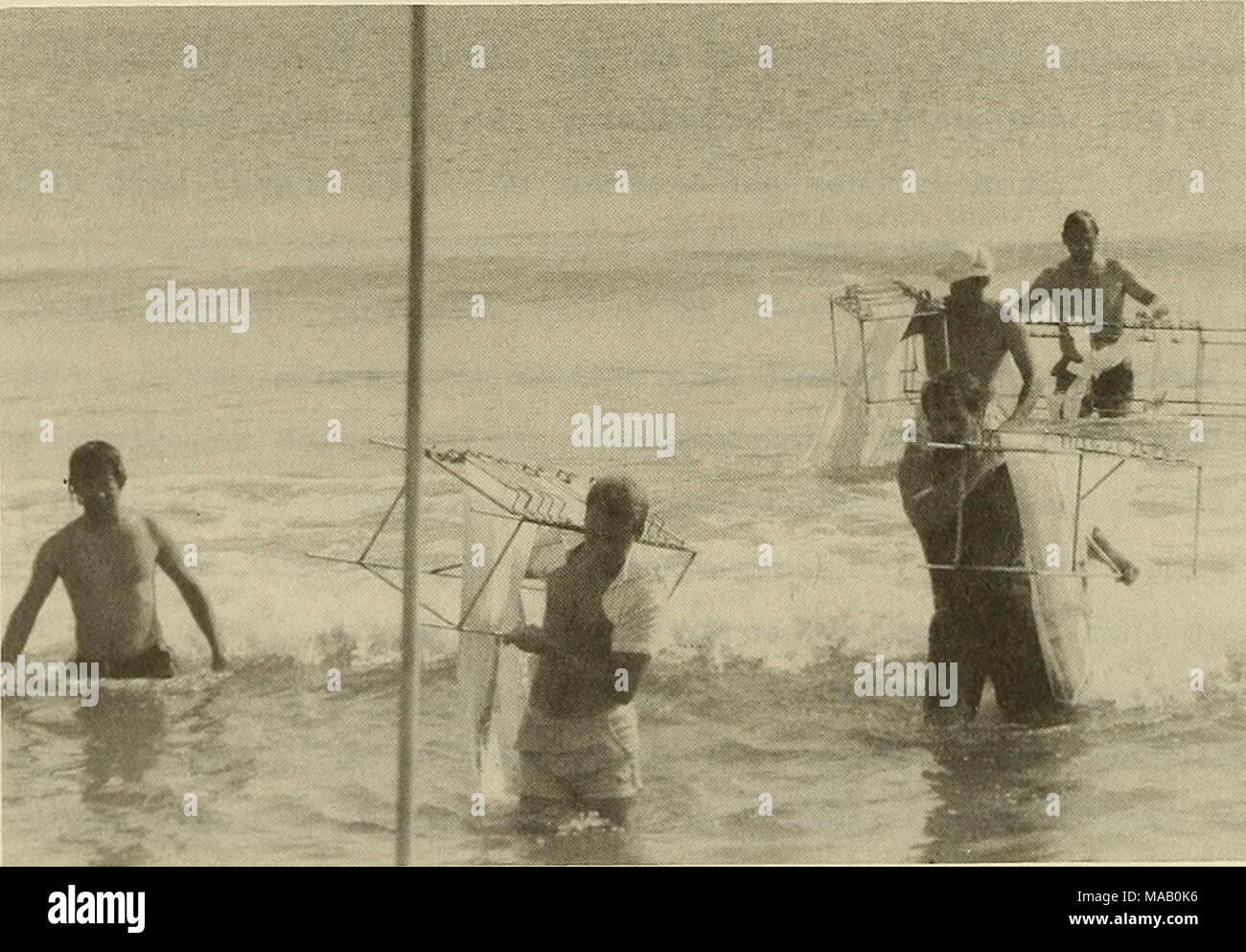 . DUCK85 surf zone sand transport experiment . Figure 10. Traps being ...