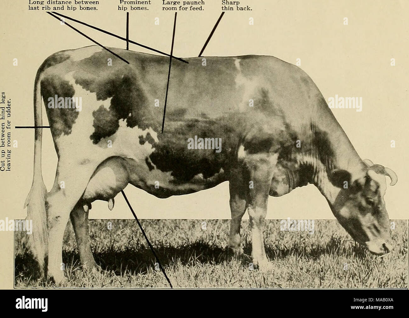 . Dry land farming in the Southwest .. . Arched flank providing: room ...