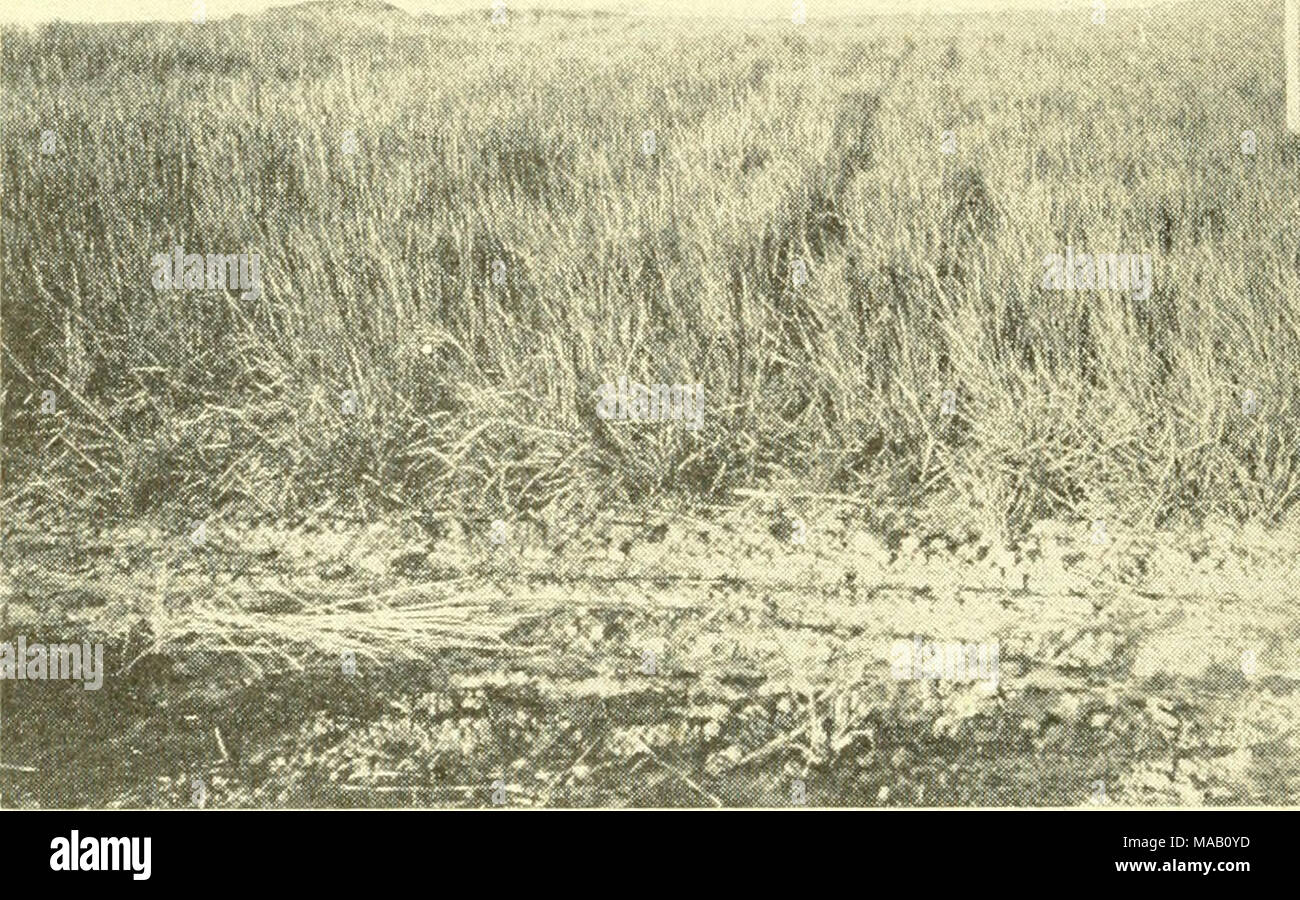 . Dry land farming Stock Photo - Alamy