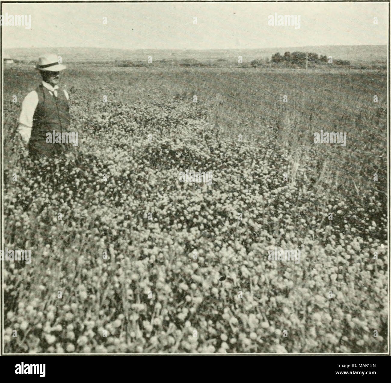 Alta class hi-res stock photography and images - Alamy