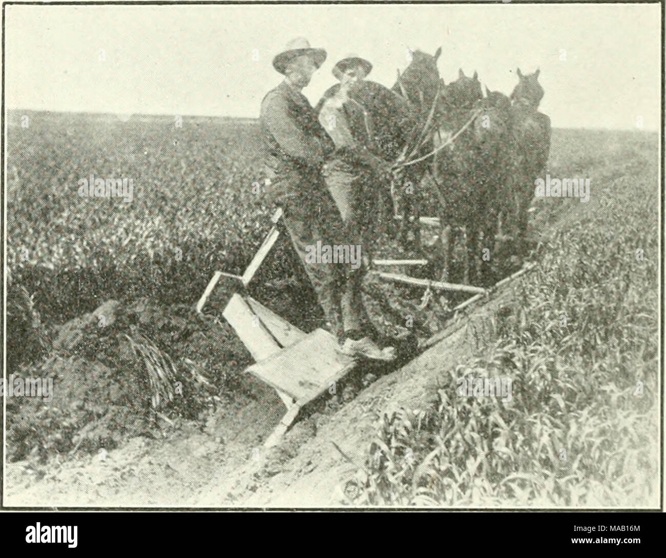 . Dry farming in western Canada . Fig. 84.—The "V" Ditcher at Work ...