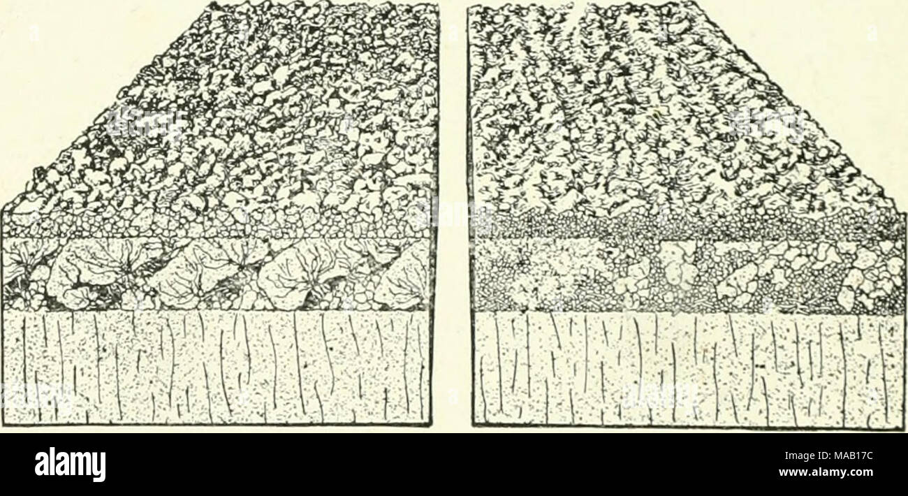 Soil moisture diagram hi-res stock photography and images - Alamy