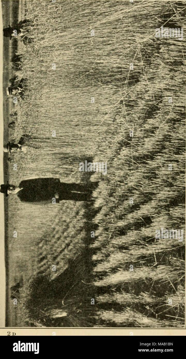 . Dry-farming Stock Photo - Alamy