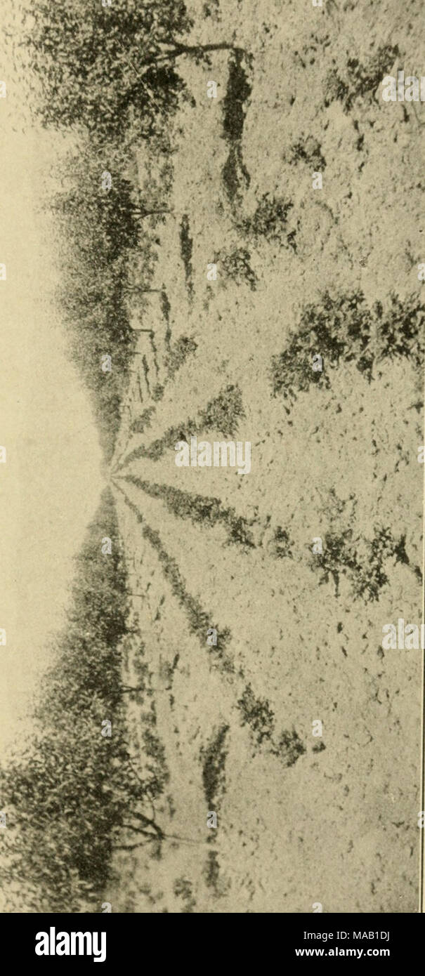 . Dry-farming; . 03 d M Stock Photo - Alamy