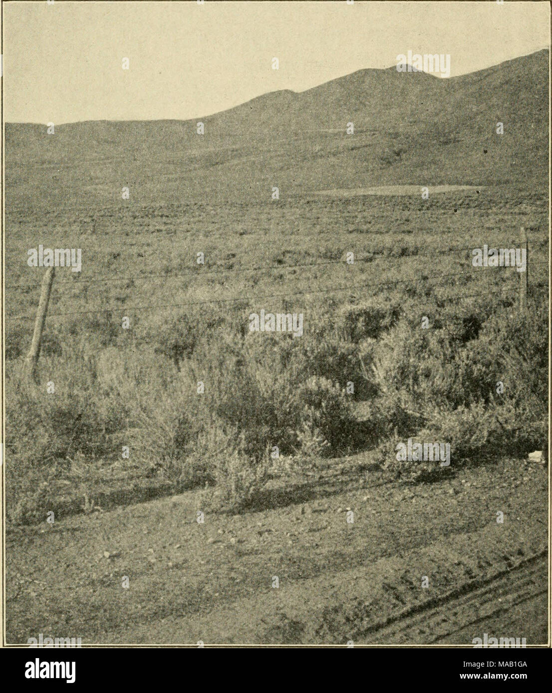 . Dry-farming; . Fig. 1. Typical sagebrush land in dry-farm districts ...