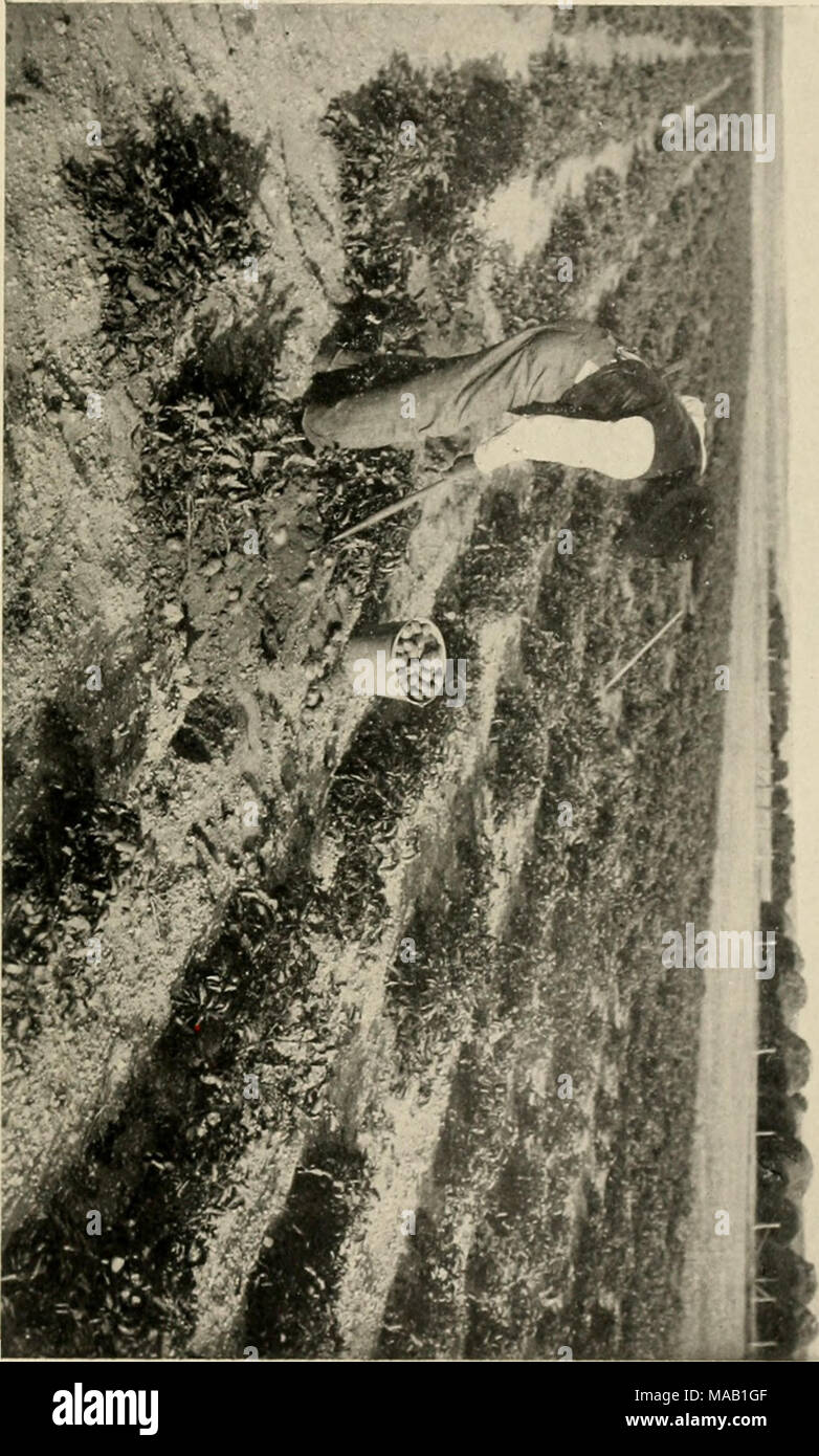 . Dry-farming Stock Photo - Alamy