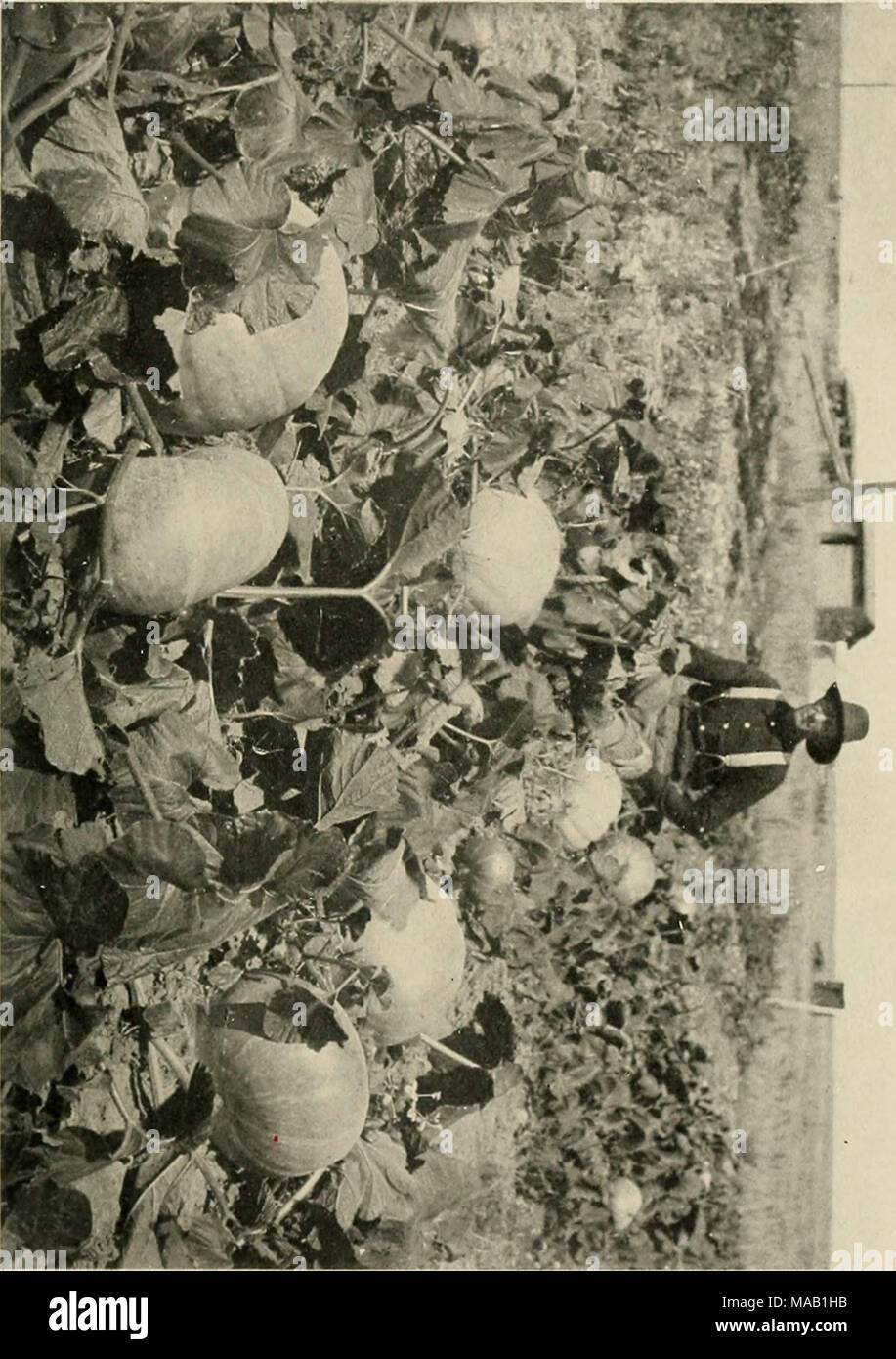 . Dry-farming Stock Photo - Alamy