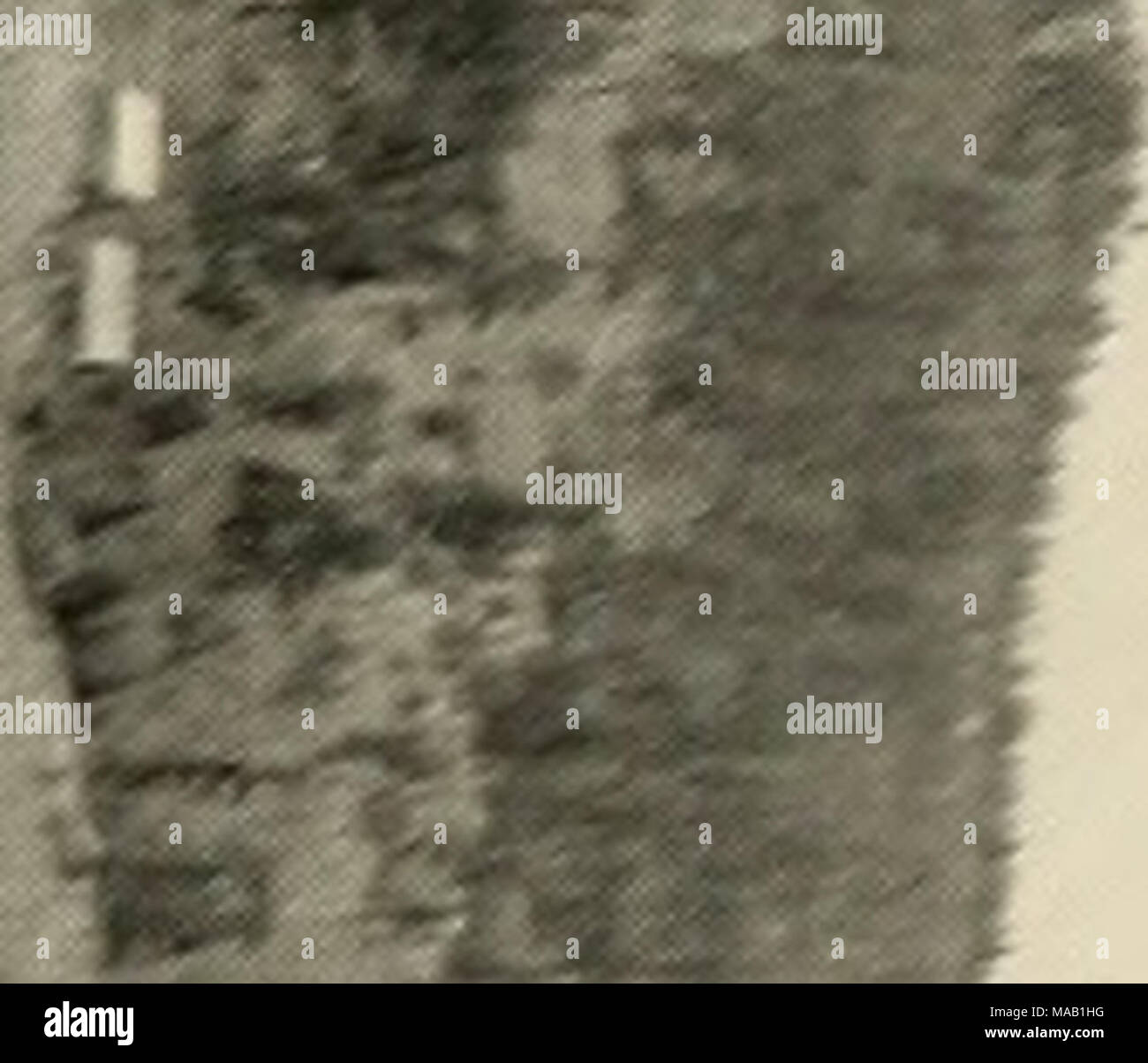 . Dry-farming Stock Photo - Alamy