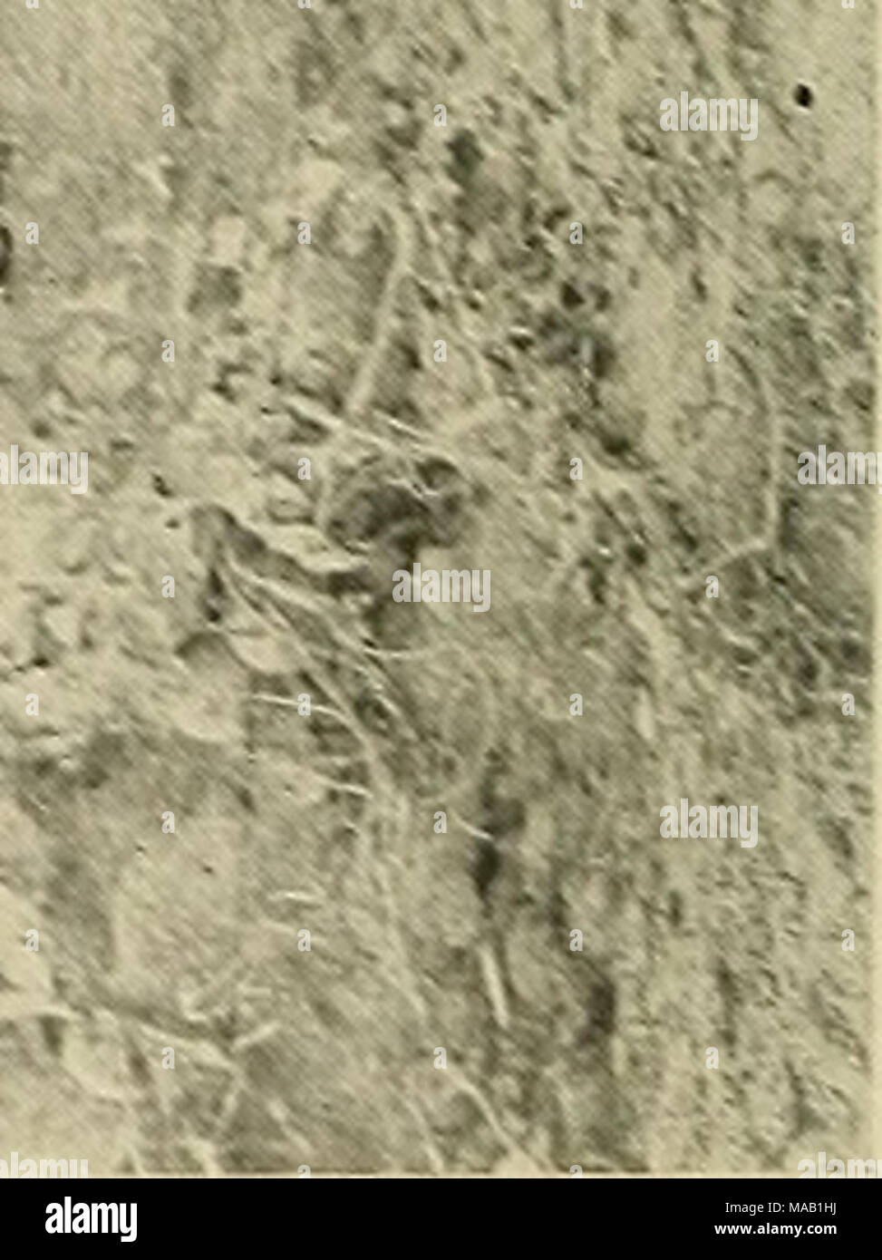 . Dry-farming Stock Photo - Alamy