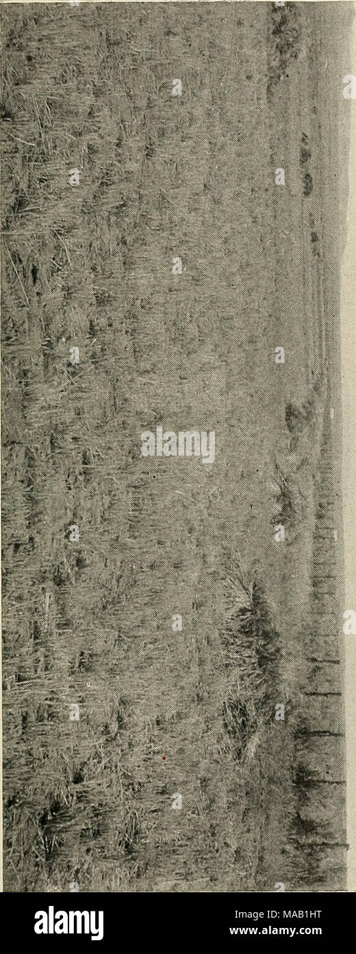 . Dry-farming Stock Photo - Alamy