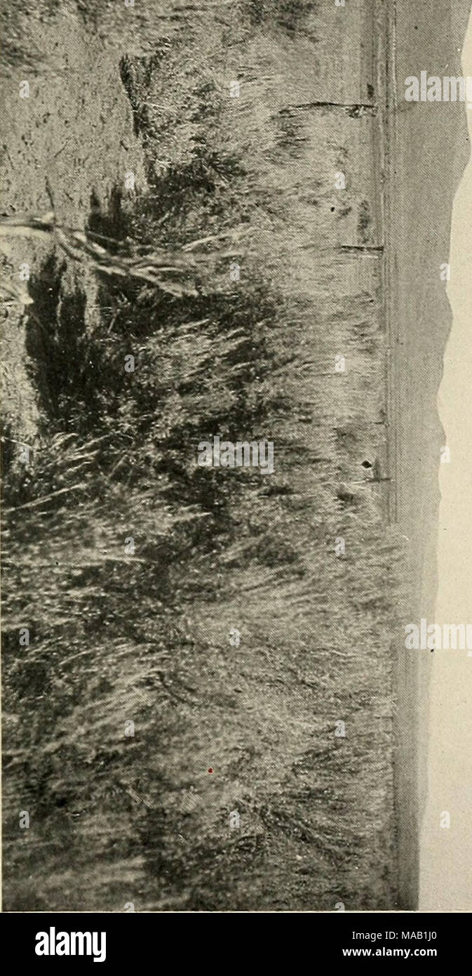 . Dry-farming Stock Photo - Alamy