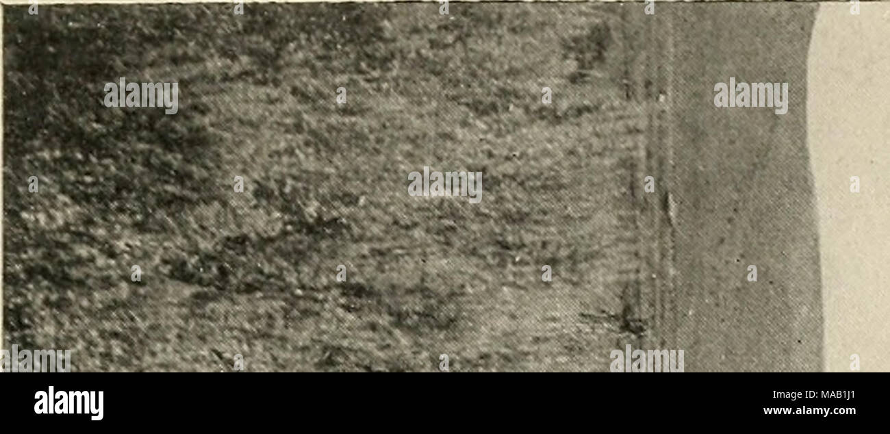 . Dry-farming Stock Photo - Alamy