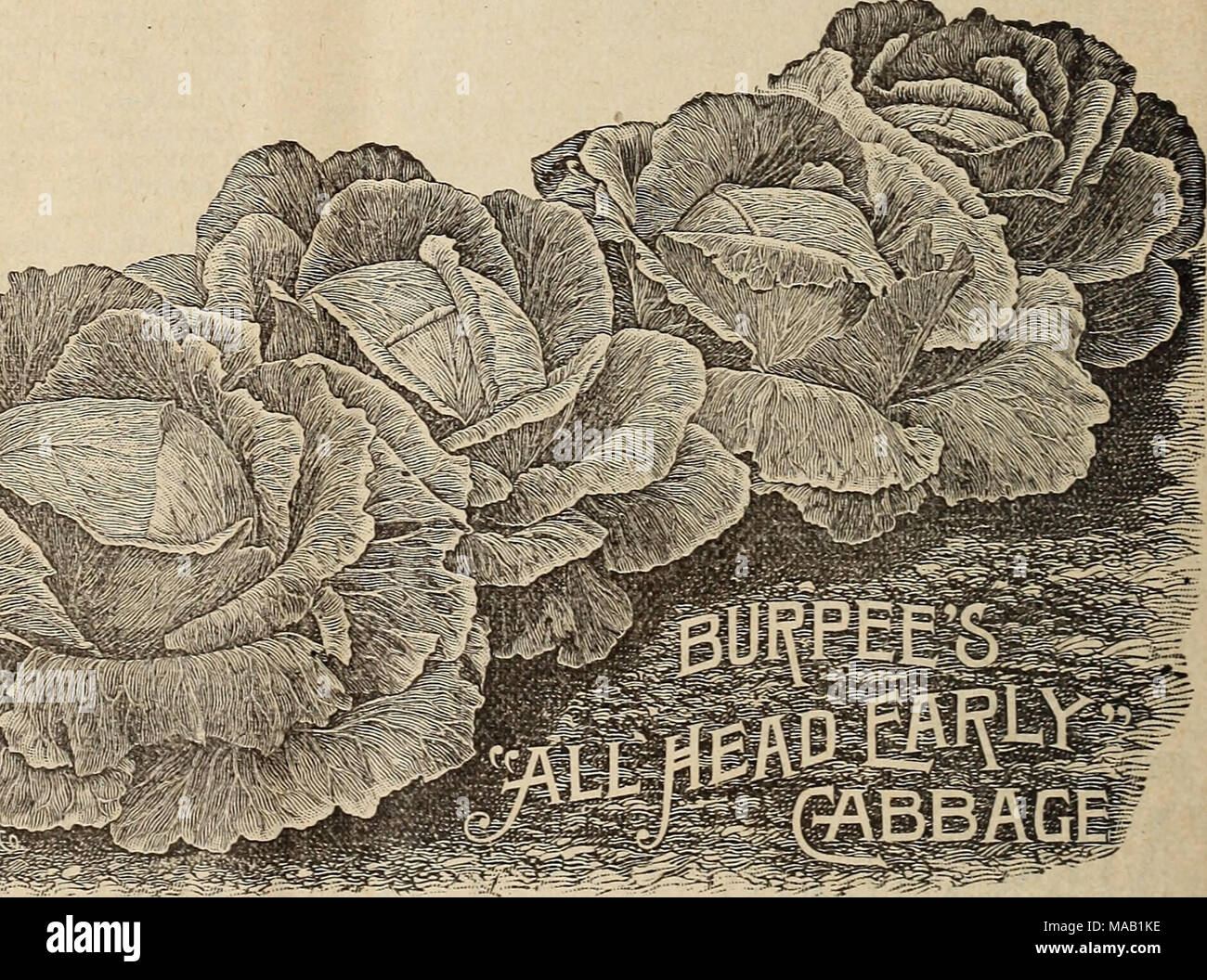 Merchantable hi-res stock photography and images - Alamy