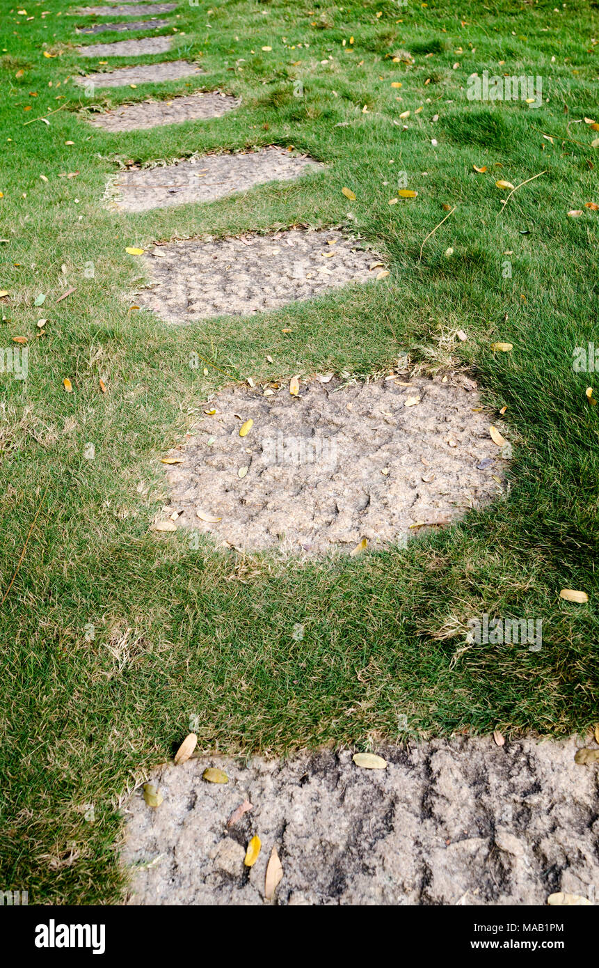 Tokyo stone path trail hi-res stock photography and images - Alamy