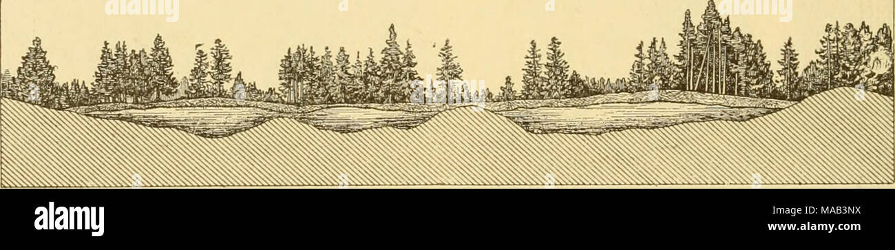 Lacustrine soil hi-res stock photography and images - Alamy