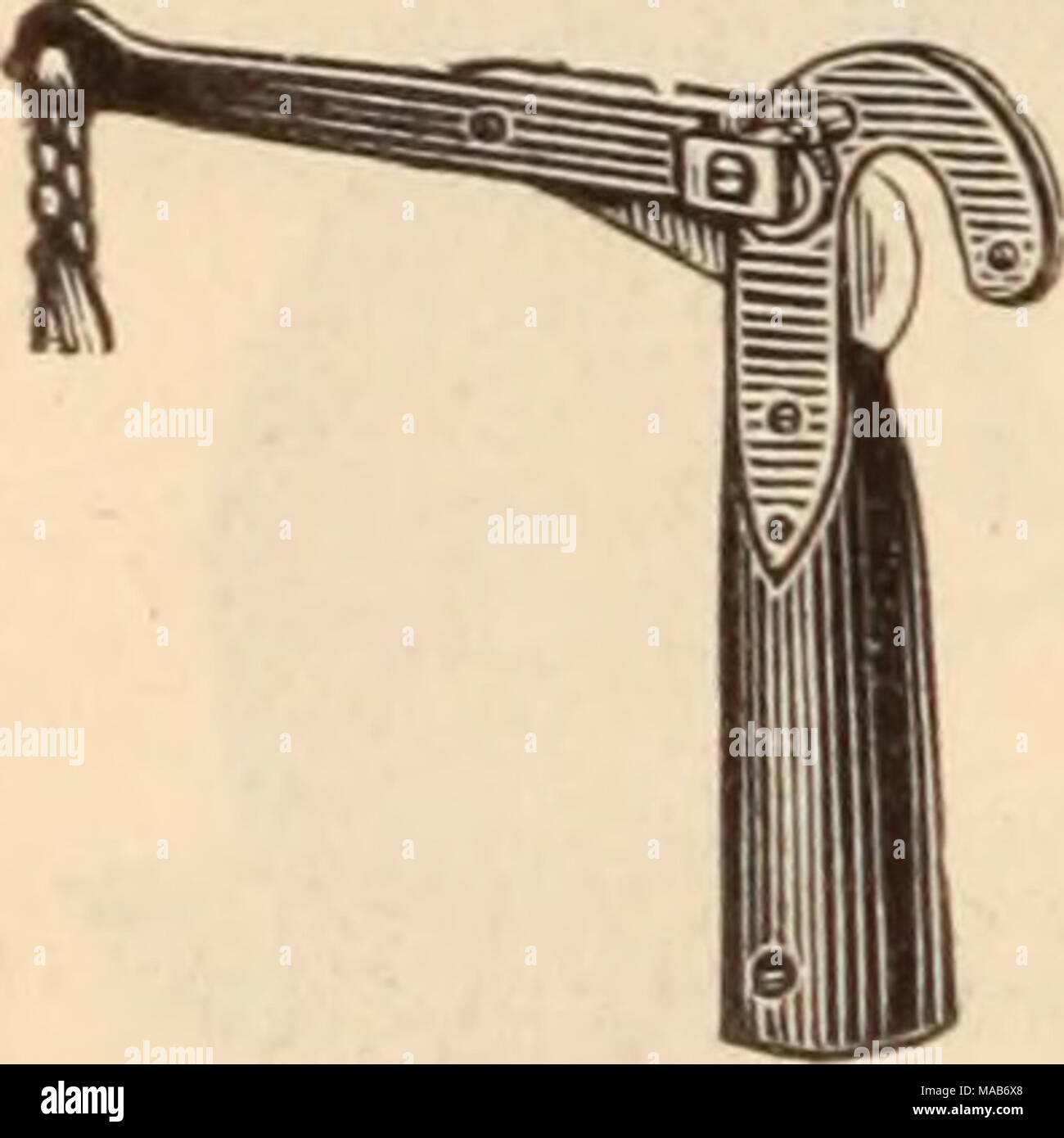 . Dreer's wholesale price list / Henry A. Dreer. . Telegraph Tree ...