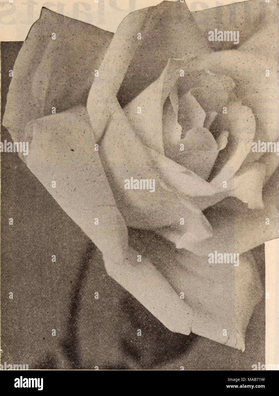 Christy clark hi-res stock photography and images - Alamy