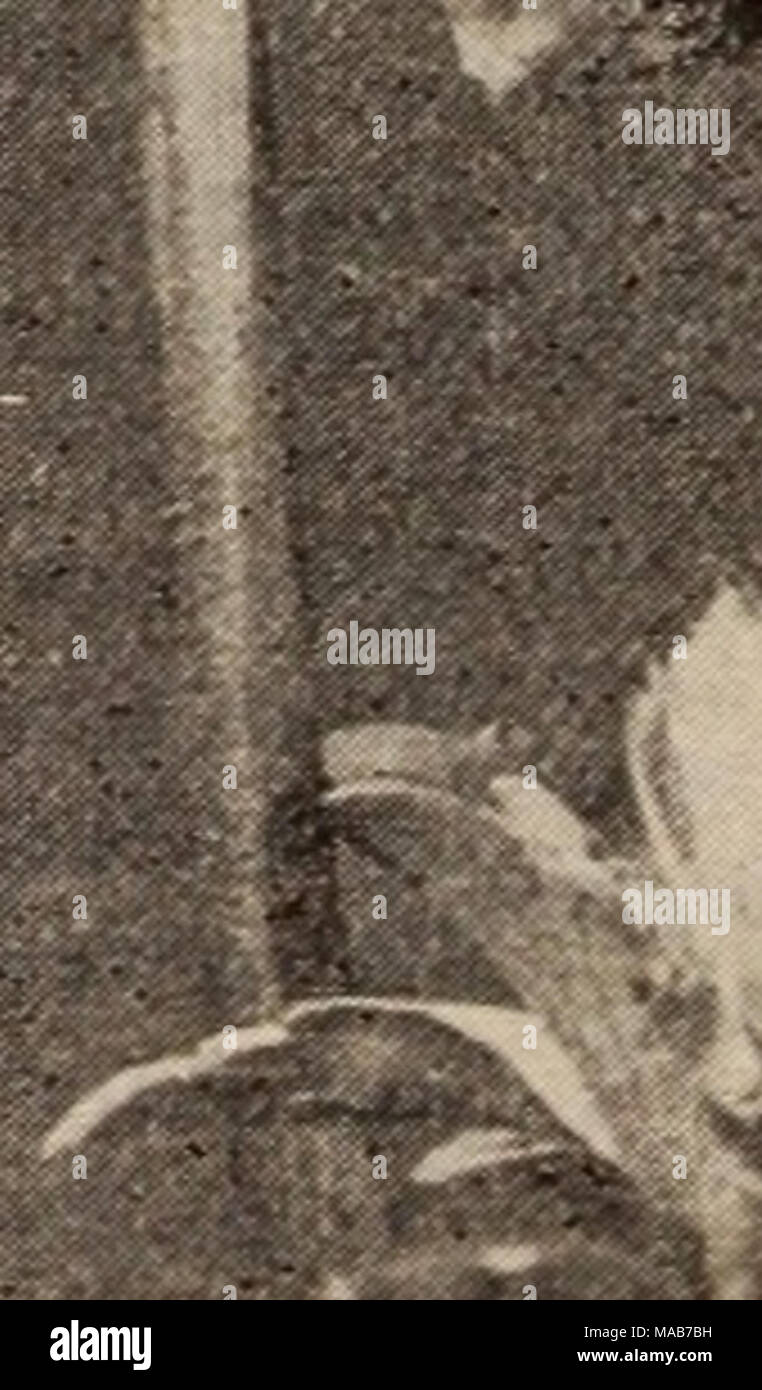 . Dreer's wholesale price list / Henry A. Dreer. . For Pansies in ...