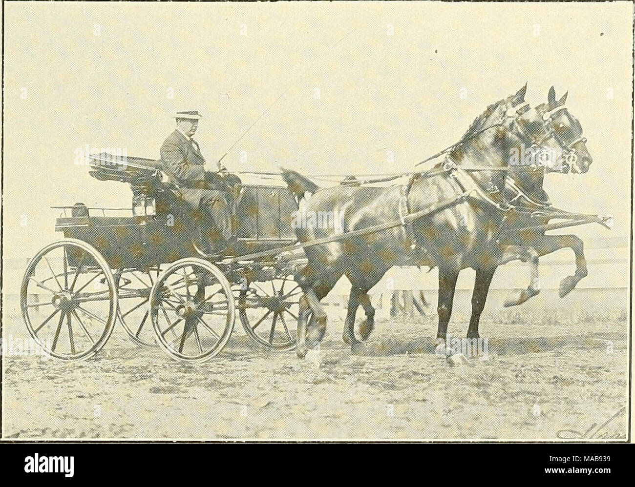 . The driving clubs of greater Boston .. . HIGH ROLLER and HIGH LADY ...