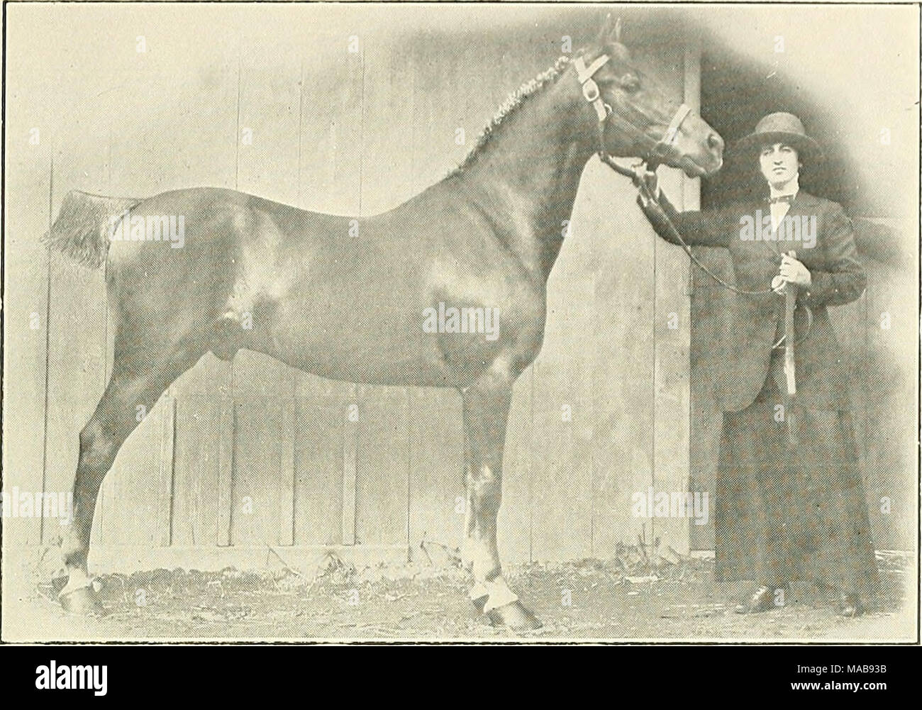 . The driving clubs of greater Boston .. . MISS MARY MURPHY and "ROYAL ...