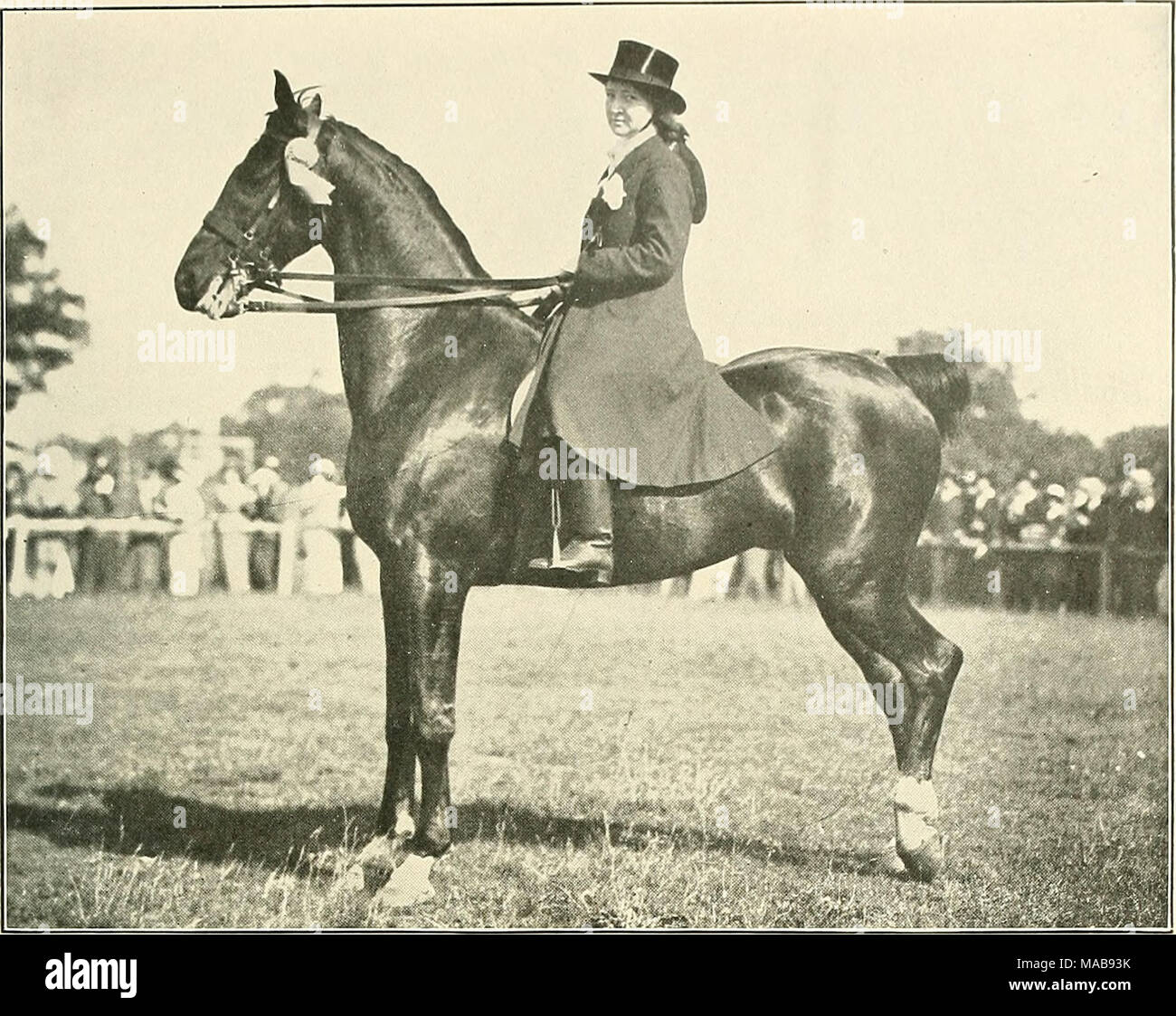Miss hewitt hi-res stock photography and images - Alamy