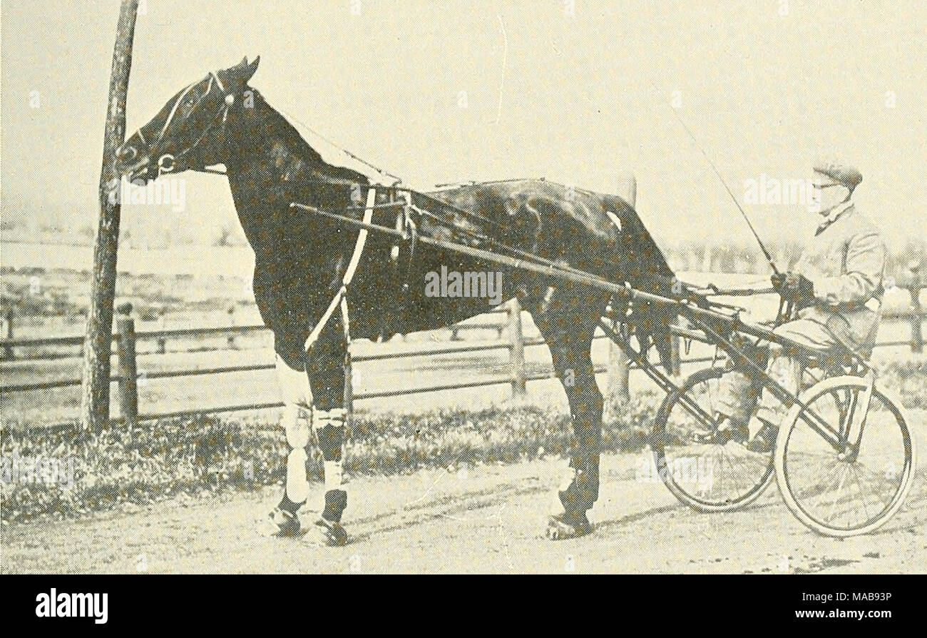 . The driving clubs of greater Boston .. . •s^put**^ MOLLY L., 2:25 1-4 ...