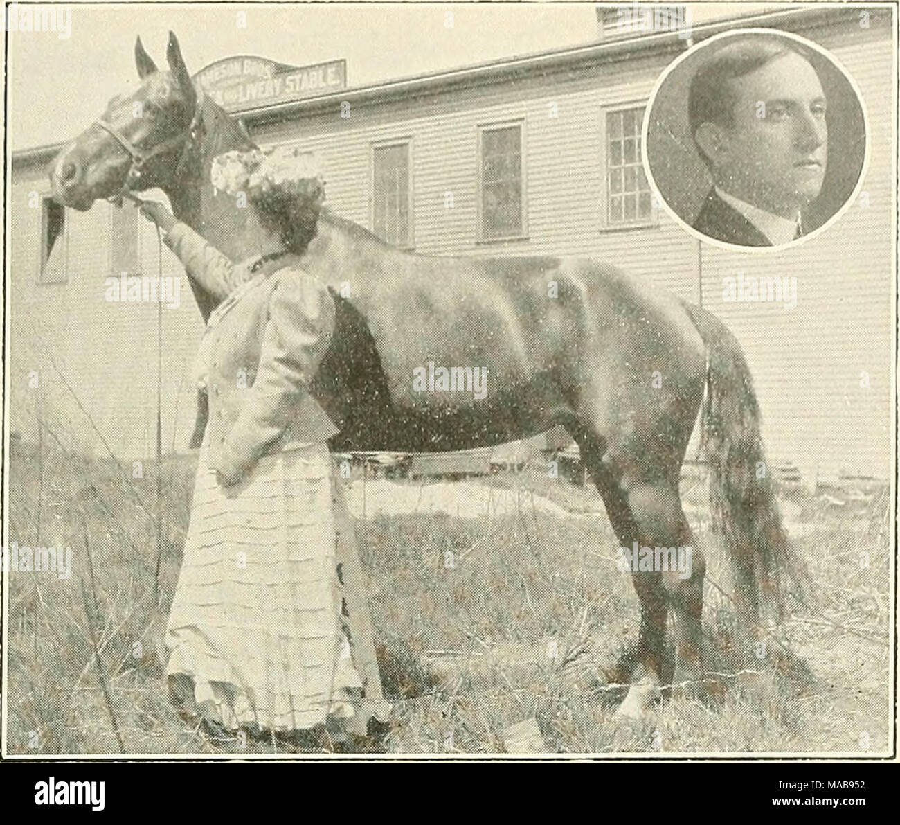 . The driving clubs of greater Boston .. . LADY HILTON Winner of Point ...