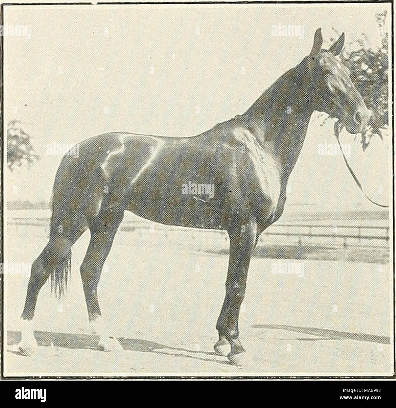. The driving clubs of greater Boston Stock Photo - Alamy