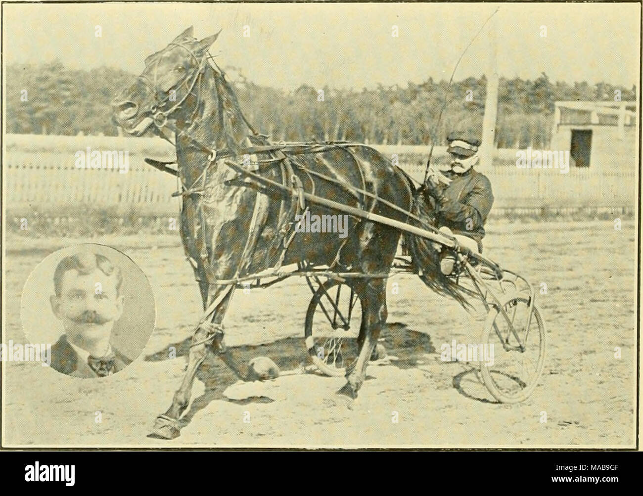 . The driving clubs of greater Boston . BESSIE WILKES Always a ...