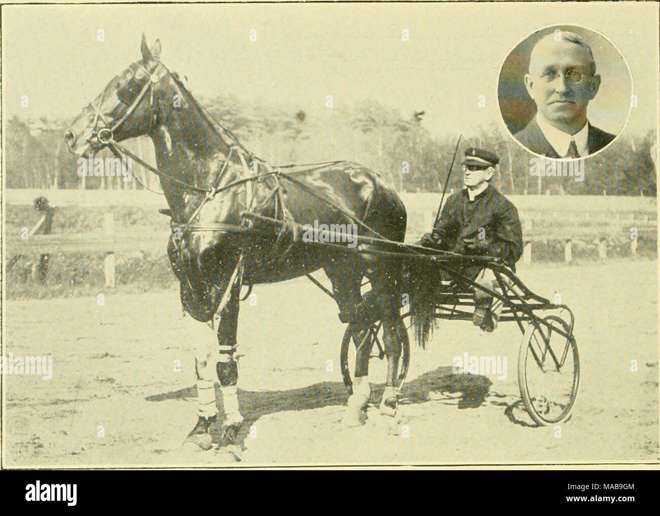 . The driving clubs of greater Boston . HECTOR K., 2:29 1-4 Sired by ...