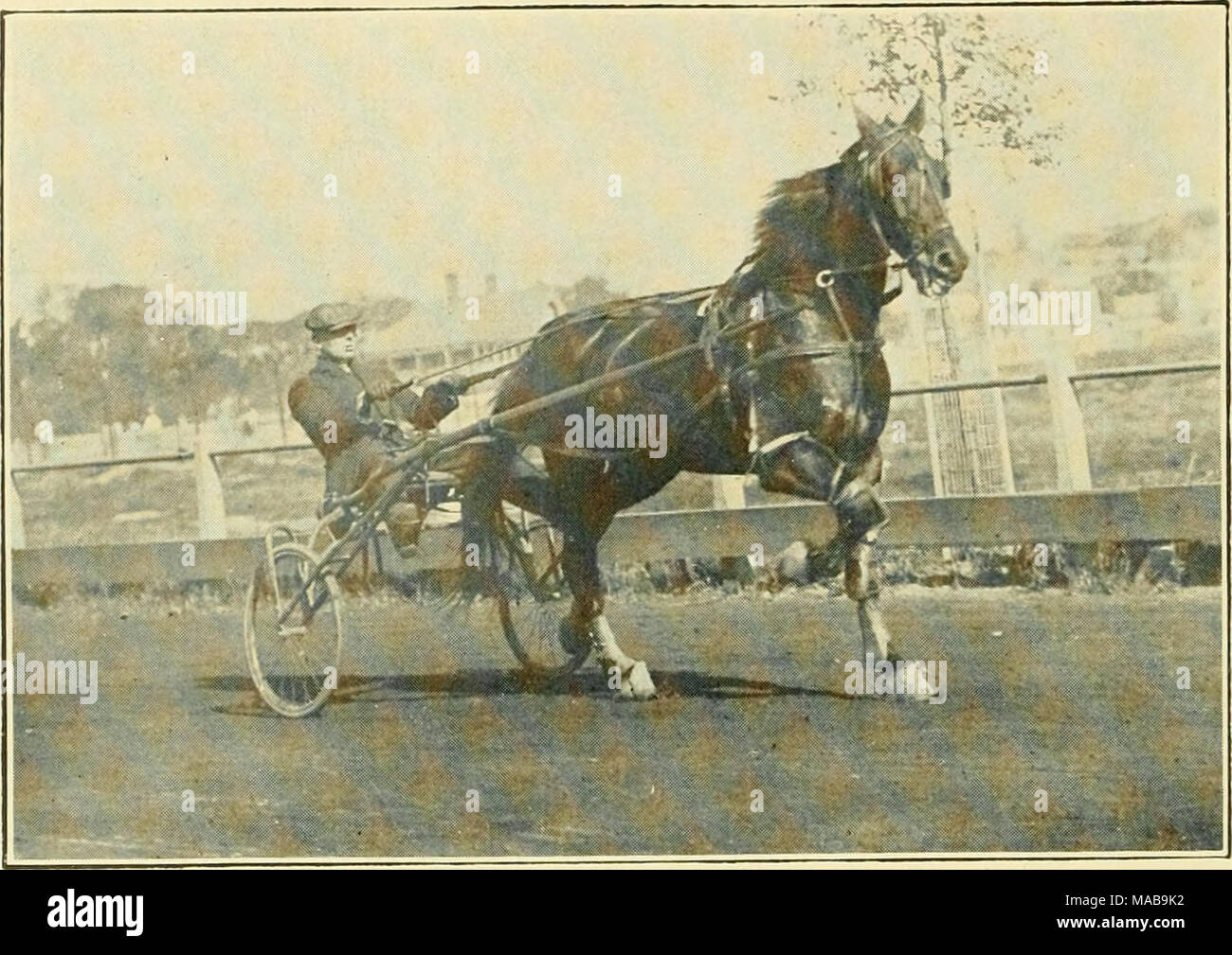 . The driving clubs of greater Boston . BARON PATCH, 2:18 3-4 A Money ...