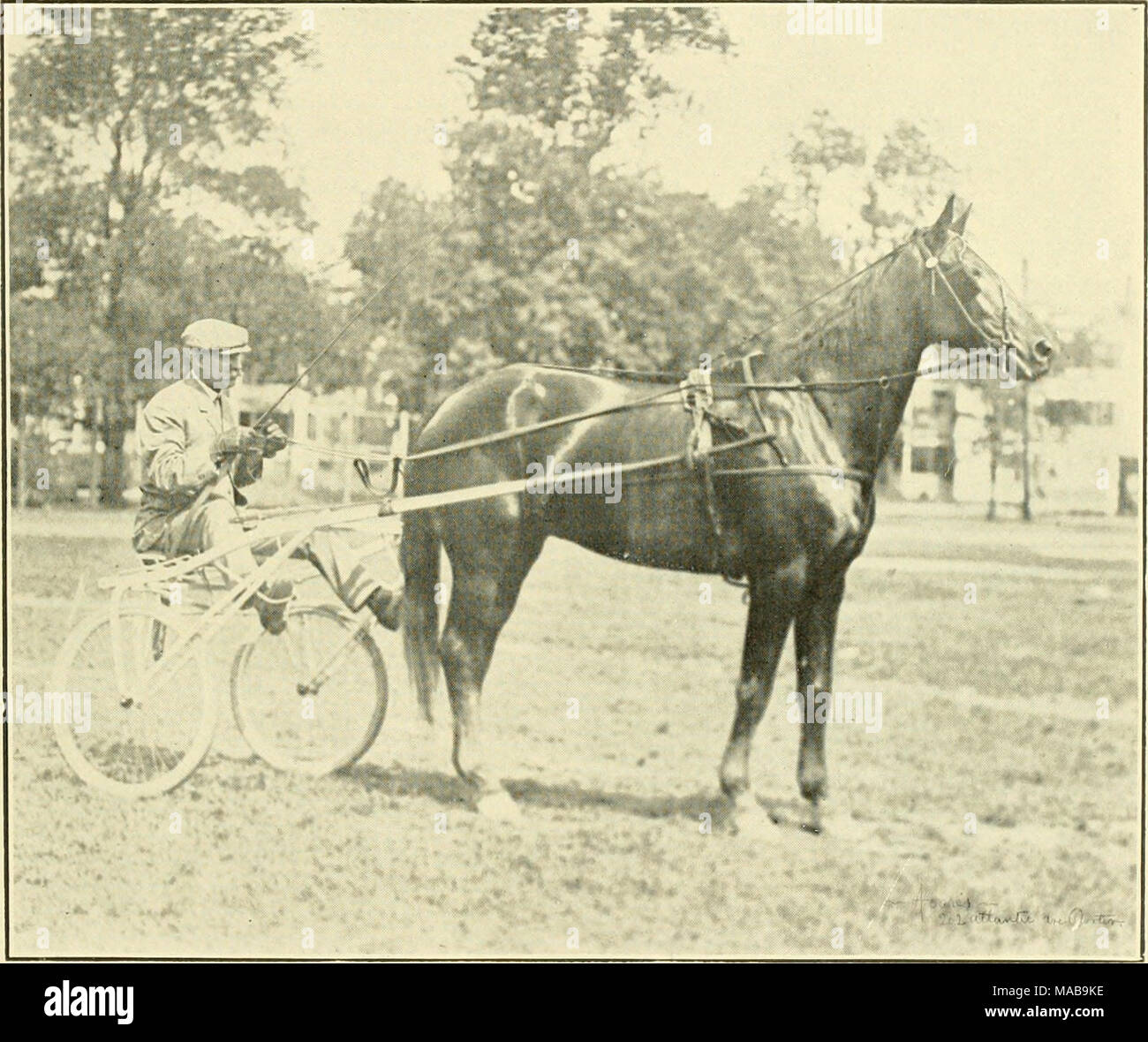 . The driving clubs of greater Boston . RALPH WICK, 2:13 1-4 Winner of ...